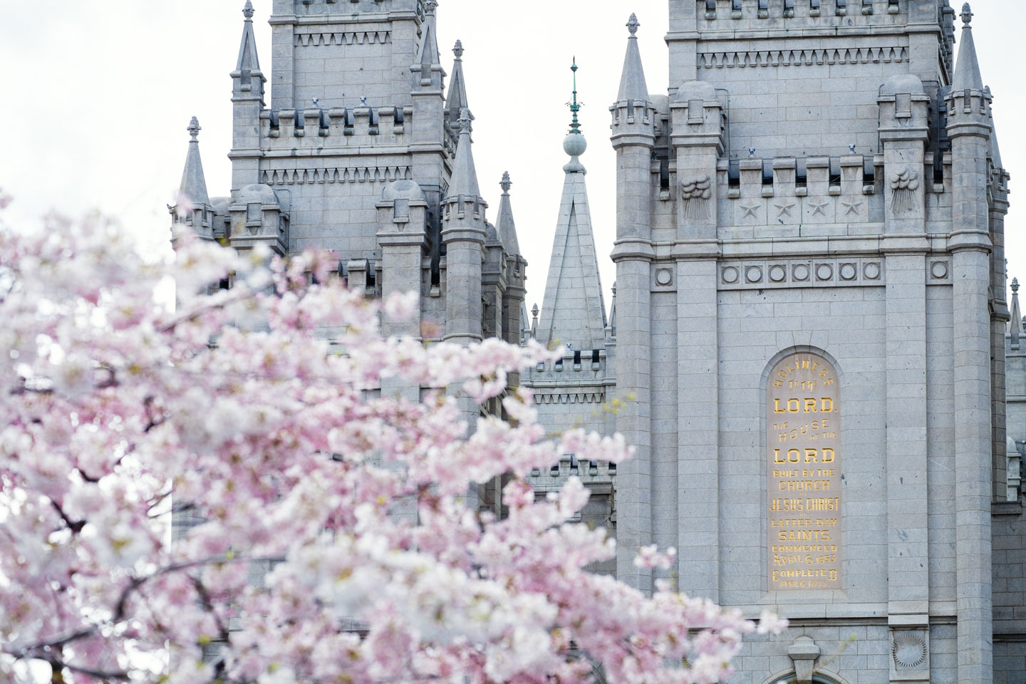 The Salt Lake Temple in Spring | dav.d photography