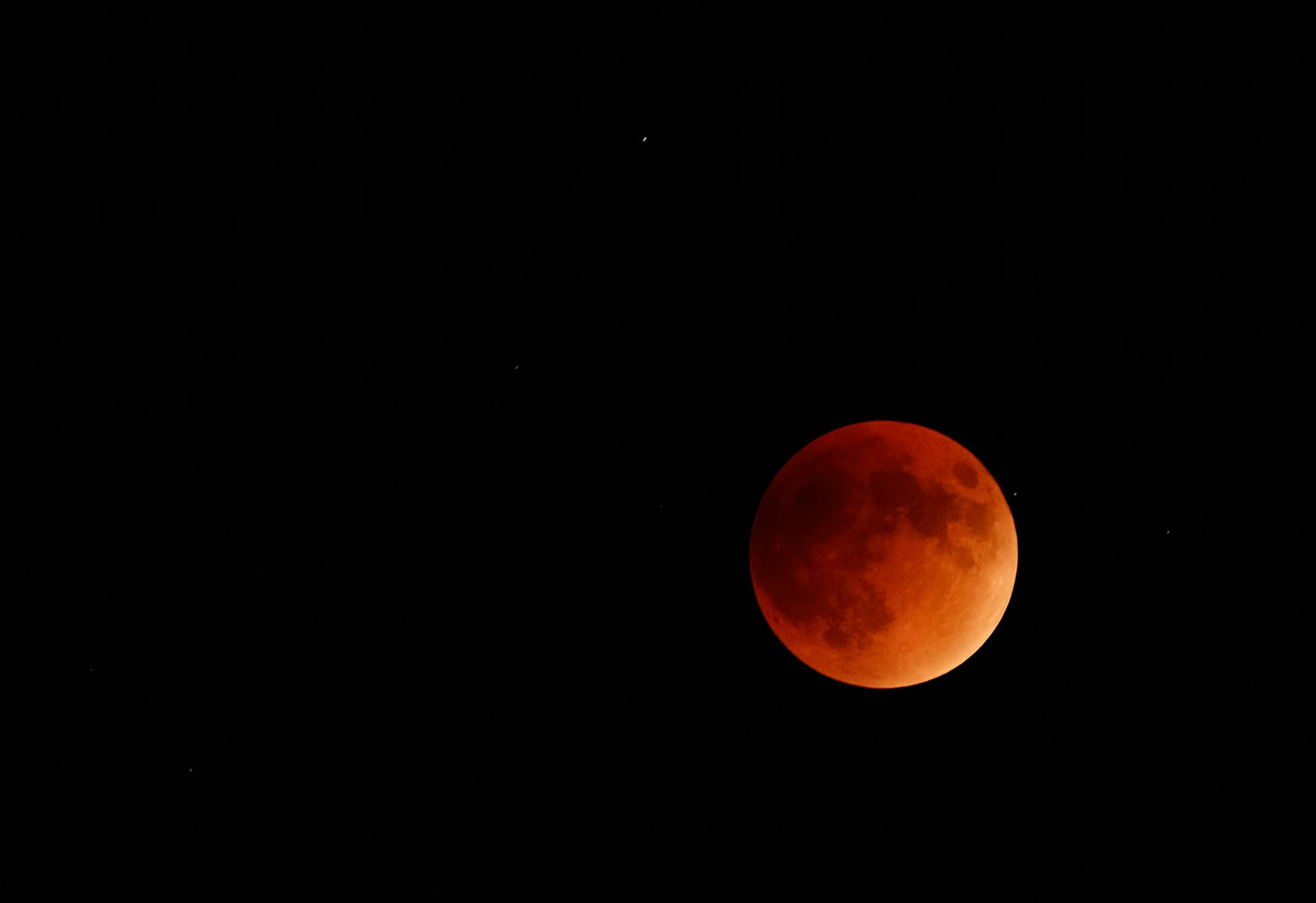 Supermoon's Lunar Eclipse aka the Blood Moon | dav.d photography
