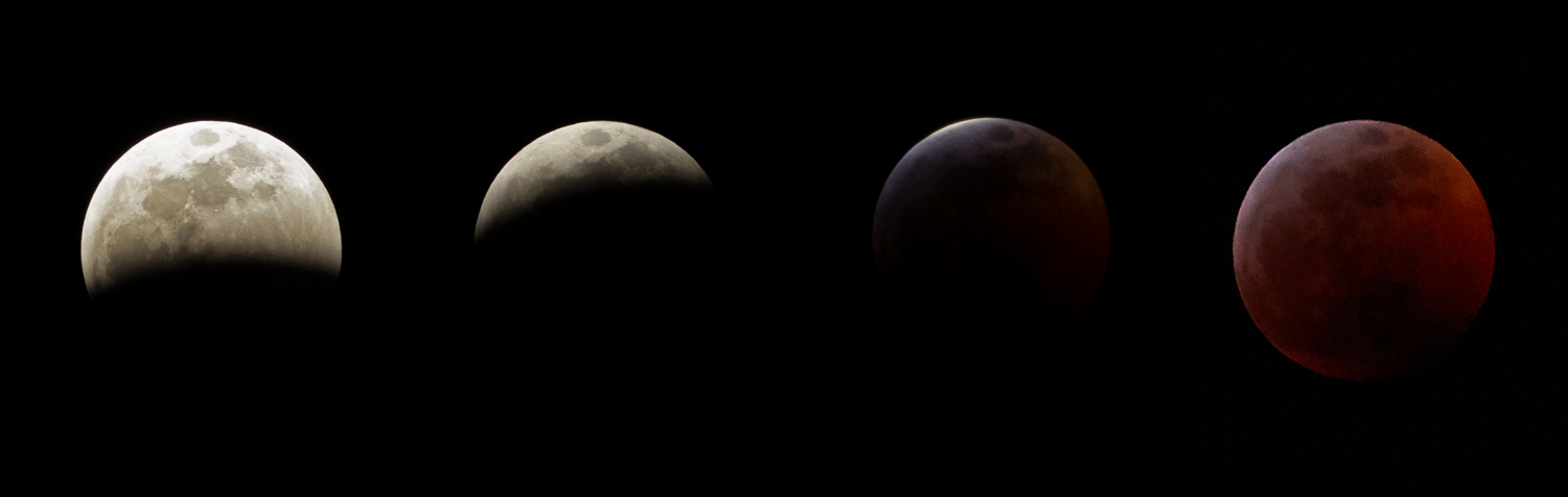 Super Moon Blood Wolf Lunar Eclipse 2019 | dav.d photography