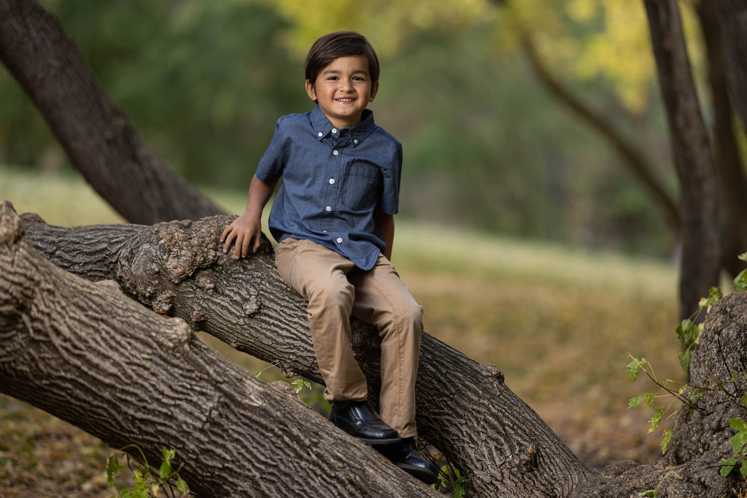 Autumn Portraits with the Arroyo Family in Big Springs Park | dav.d ...