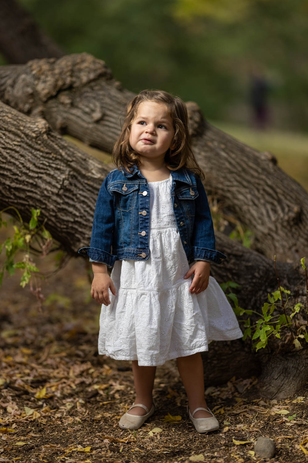 Autumn Portraits with the Arroyo Family in Big Springs Park | dav.d ...