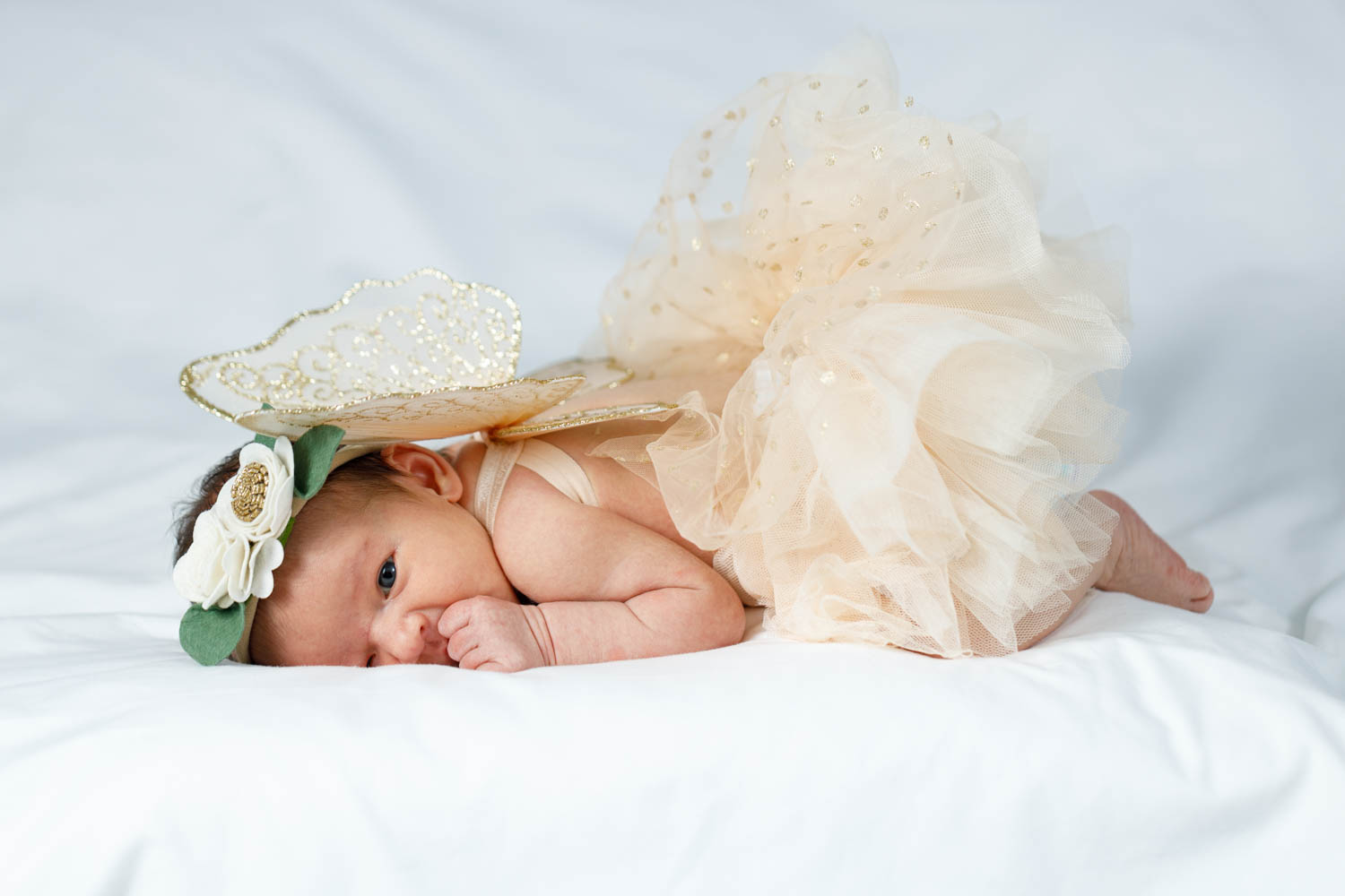 Baby Photos with Little Baby Nora® | dav.d photography